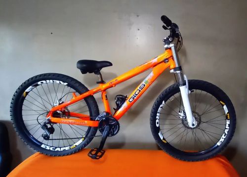 "gios frx" - Ciclismo no Brasil