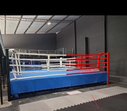 "ringue de boxe" no Brasil