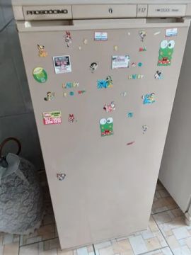 "freezer vertical prosdocimo" - Geladeiras e Freezers no Brasil