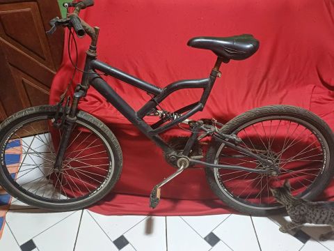 "bicicletas simples" no Brasil