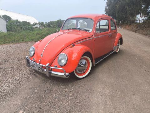 VOLKSWAGEN FUSCA 1963 Usados e Novos