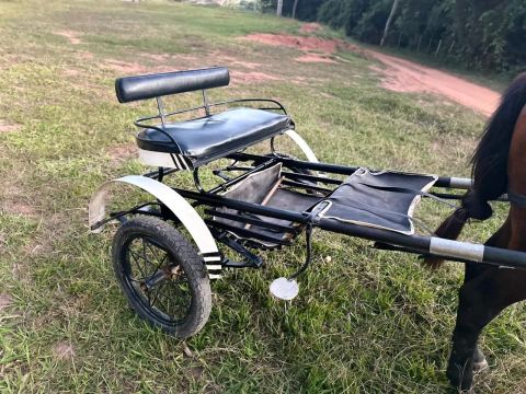 "charrete" no Brasil