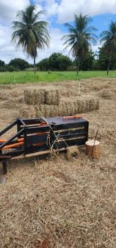 "laboremus" no Brasil