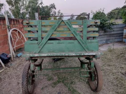 "carroca de animal" no Brasil