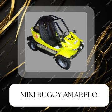 "mini buggi" no Brasil