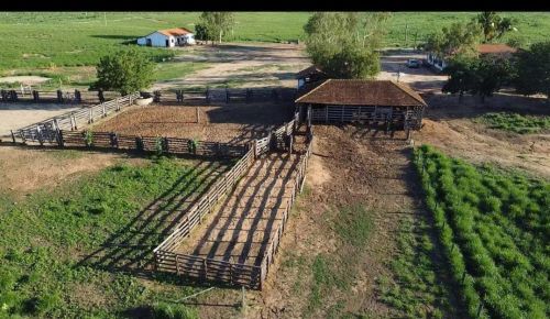 "fazenda 100 hectares" - Terrenos, sítios e fazendas no Brasil ...
