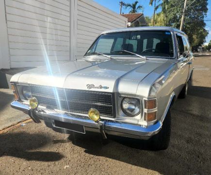 CHEVROLET CARAVAN 1979 Usados e Novos