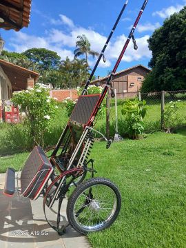 "charrete" no Brasil