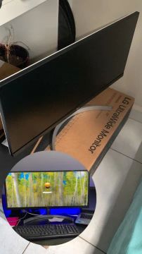 "monitor 29 polegadas ultrawide" - Monitores no Brasil