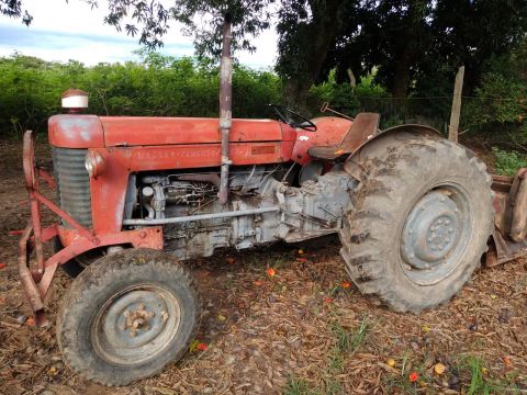 "massey ferguson 65x" - Tratores e máquinas agrícolas no Brasil