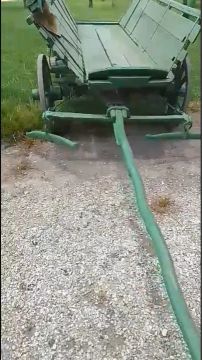 "carroca de animal" no Brasil