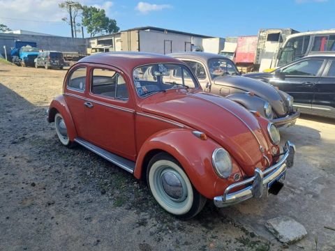 VOLKSWAGEN FUSCA 1962 Usados e Novos