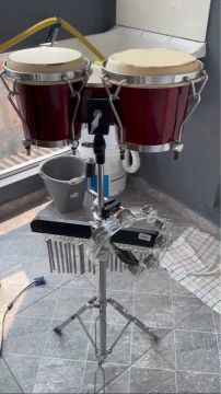 "bongo instrumento" no Brasil