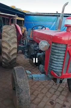 "massey ferguson 65x" - Tratores e máquinas agrícolas no Brasil