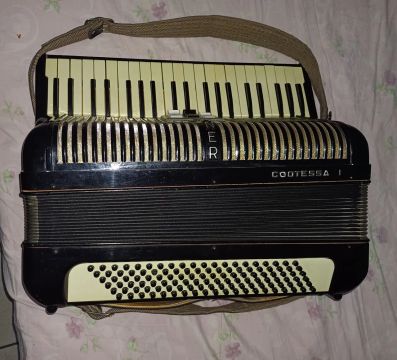 "sanfona ou acordeon" - Instrumentos musicais no Brasil