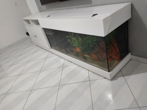 "rack para aquario" no Brasil