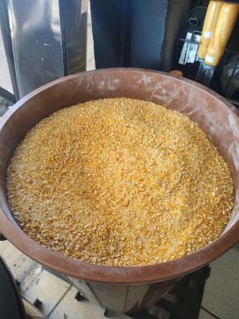 "saco de milho" no Brasil