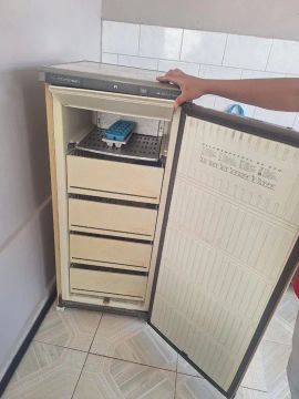 "prosdocimo geladeira" - Geladeiras e Freezers no Brasil