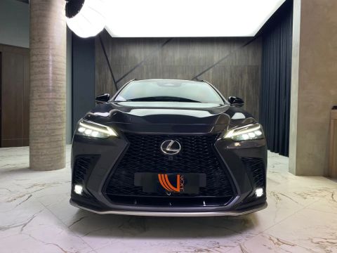 LEXUS Usados e Novos em SP