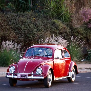 VOLKSWAGEN FUSCA 1969 Usados e Novos