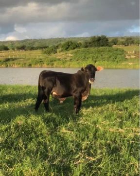 Agro e indústria em Sergipe