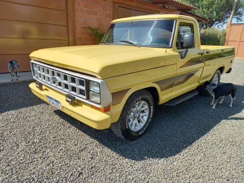 FORD F-1000 Usados e Novos