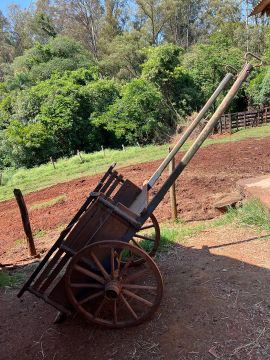 "carroca antiga" no Brasil