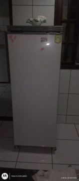 "prosdocimo geladeira" - Geladeiras e Freezers no Brasil