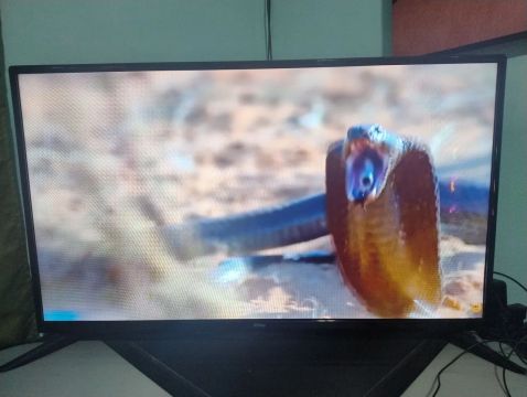 "tv philco 51 polegadas" - TVs no Brasil