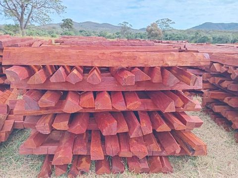 "tora de madeira" no Brasil