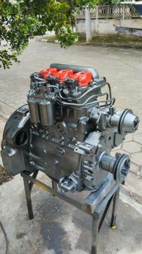 "motor mwm 229" no Brasil