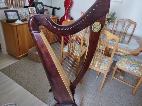 "harpa instrumento" no Brasil