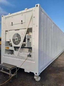 "container refrigerado" no Brasil