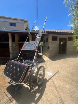 "charrete" no Brasil