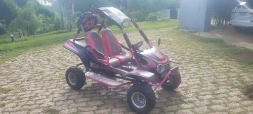 "mini buggy cross" no Brasil