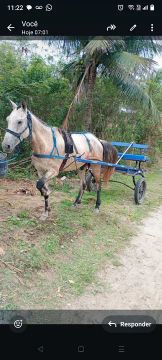 "charrete" no Brasil