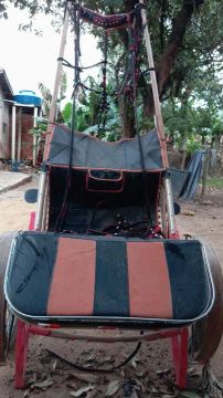 "charrete" no Brasil