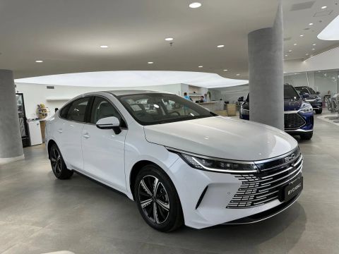 BYD King Usados e Novos