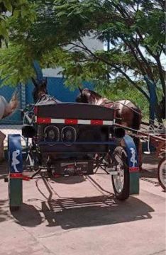 "charetes" no Brasil