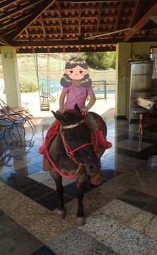 "mini ponei" no Brasil