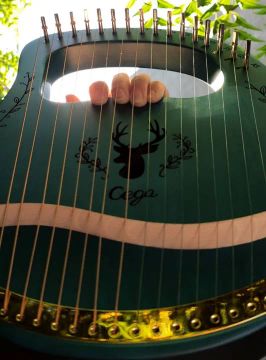 "harpa instrumento" no Brasil