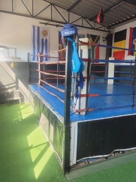 "ringue de boxe" no Brasil