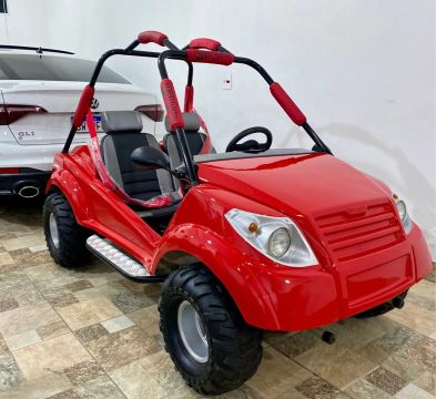 "mini buggy a gasolina" no Brasil