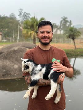 "mini cabras" no Brasil