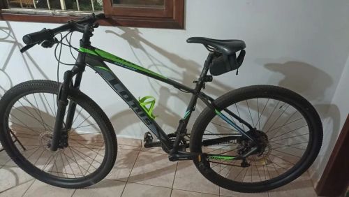 "lotus shark" no Brasil