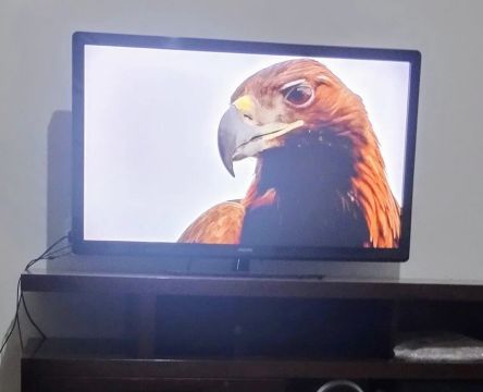 "tv philips 40 polegadas led" - TVs no Brasil