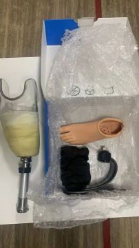 "protese perna esquerda" no Brasil