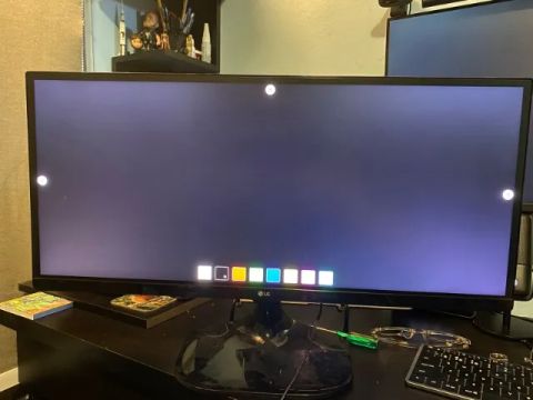 "monitor lg ultrawide 25 polegadas" - Monitores no Brasil