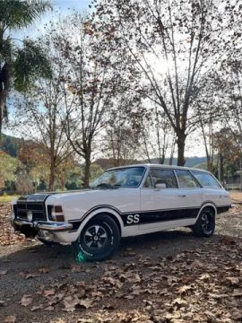 CHEVROLET CARAVAN Usados e Novos