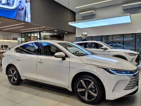 BYD King Usados e Novos